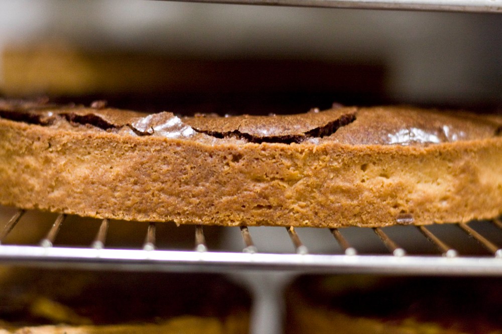 Queen of Tarts: Catherine Kluger’s sweet and savoury delights to warm ...