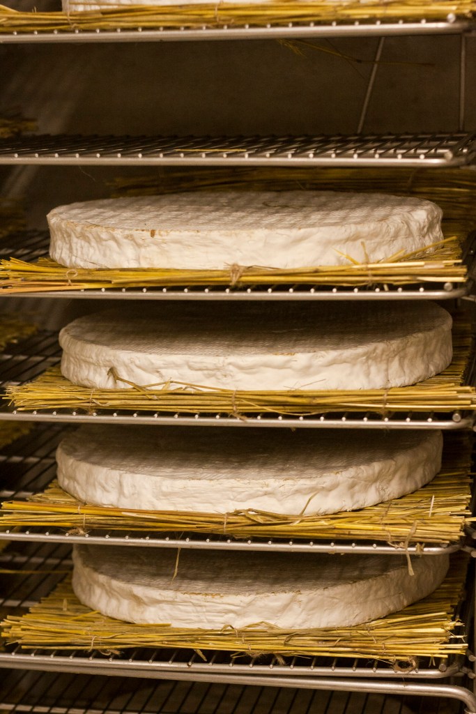 Fromage under fire: Why French cheese faces extinction | French For Foodies